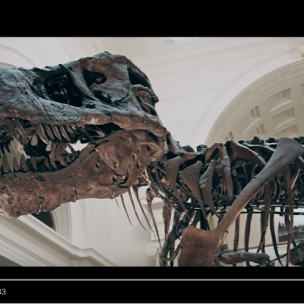 Unlocking the Secrets of T-Rex’s Tiny Arms | Department of Energy Unlocking the Secrets of T-Rex’s Tiny Arms | Department of Energy